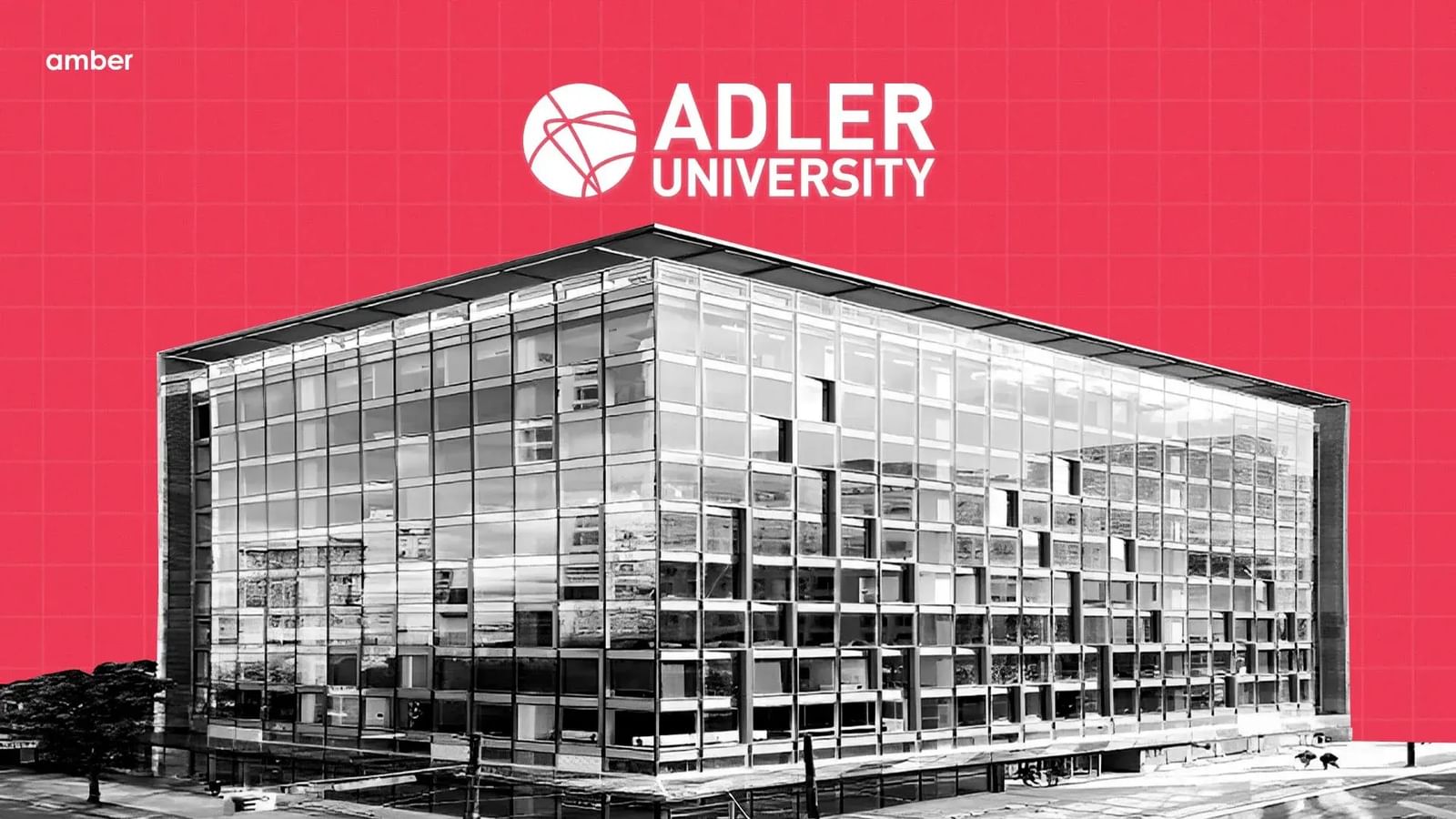 Adler University: Courses, Fees and Rankings of 2025 | Amber
